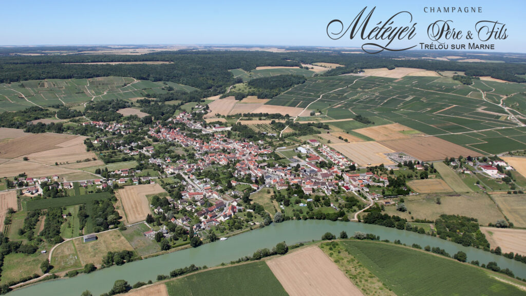 Szampan - król win musujących. Gościni Anna Météyer z Winnicy Champagne ...